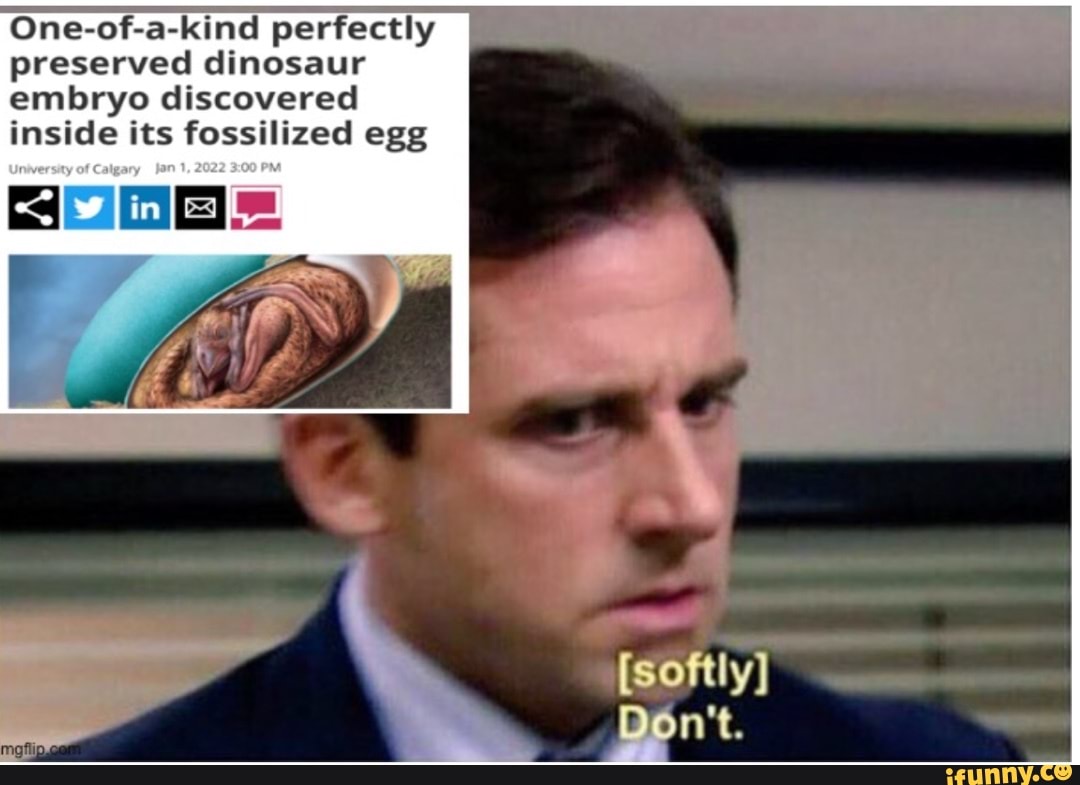 One-of-a-kind perfectly preserved dinosaur embryo discovered inside its ...