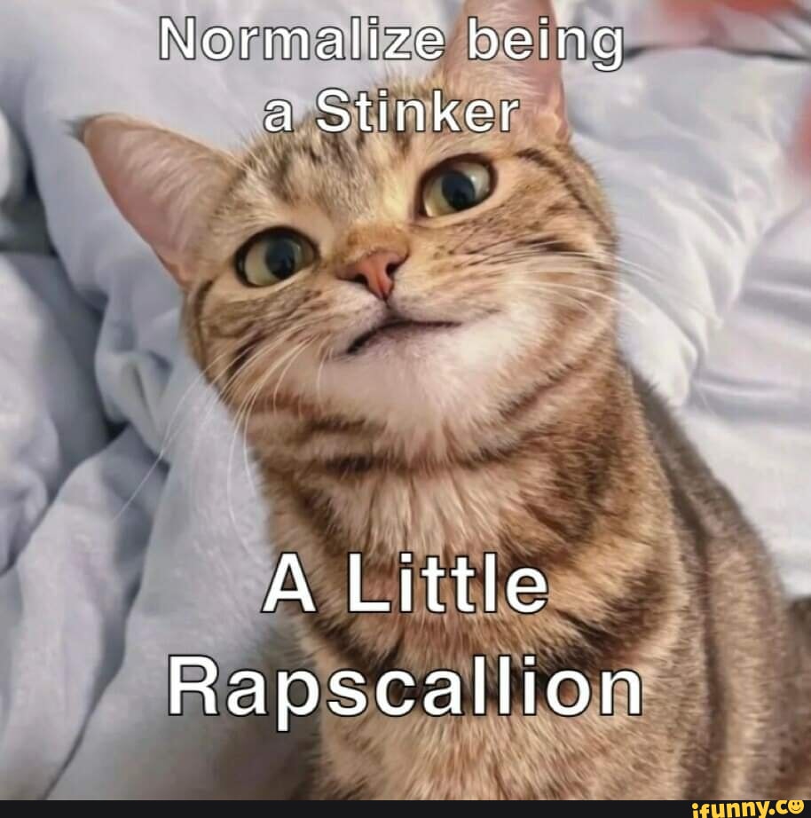 Rapscallion memes. Best Collection of funny Rapscallion pictures on iFunny