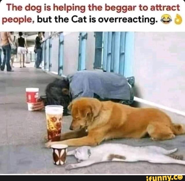 Overreacting memes. Best Collection of funny Overreacting pictures on ...