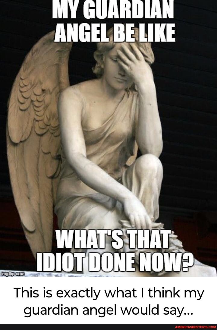 MY GUARDIAN ANGEL BE LIKE I WHAT'S THAT IDIOTDONENOW? This is exactly ...