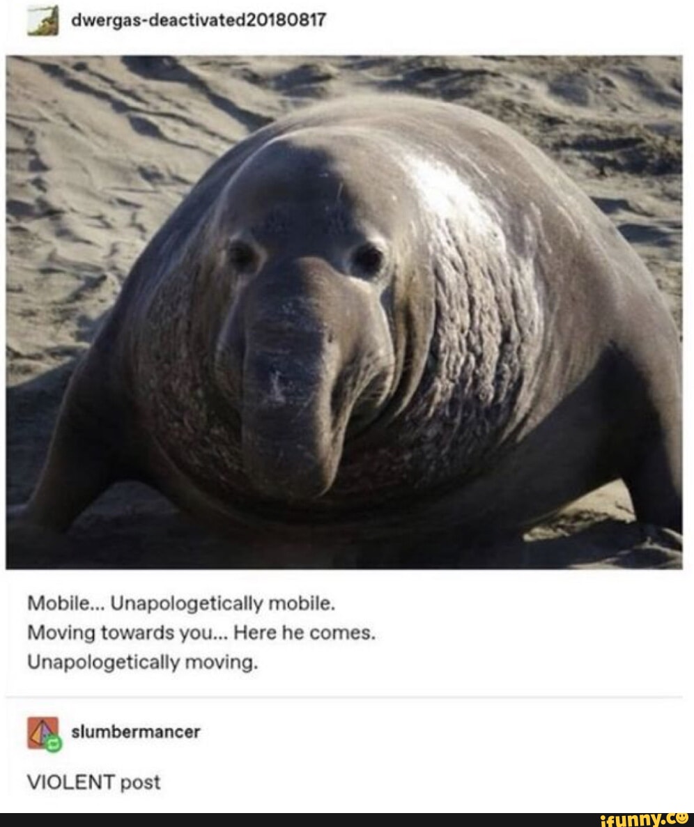 Unapologetically memes. Best Collection of funny Unapologetically ...