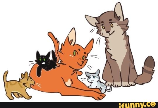 Leafpool memes. Best Collection of funny Leafpool pictures on iFunny