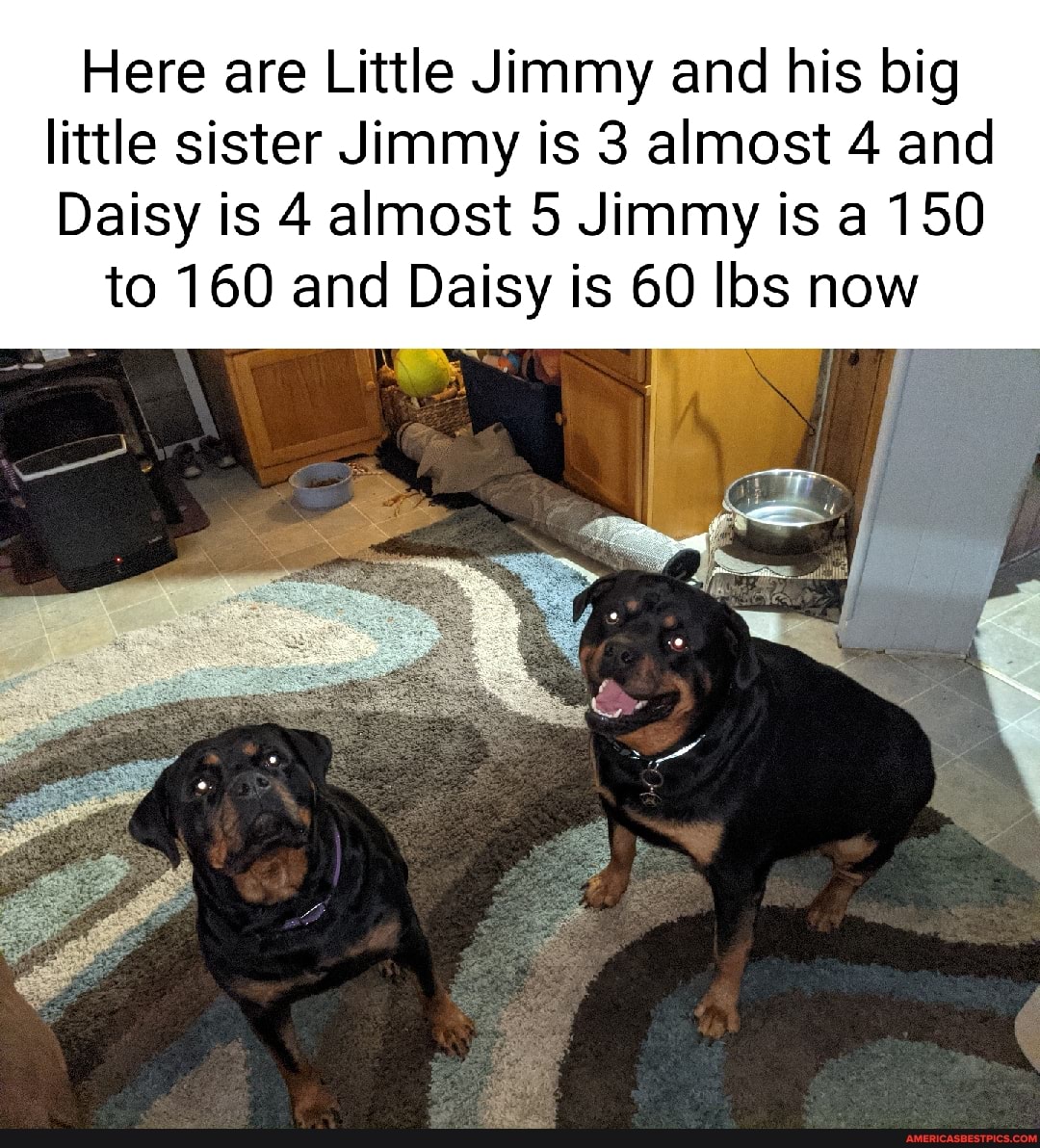 Here are Little Jimmy and his big little sister Jimmy is 3 almost 4 and ...
