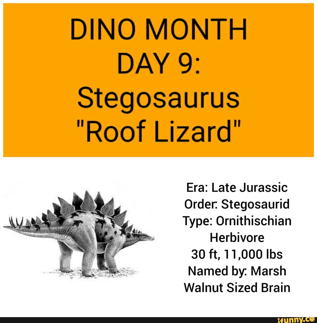 DINO MONTH DAY 9: Stegosaurus "Roof Lizard" Era: Late Jurassic Order ...