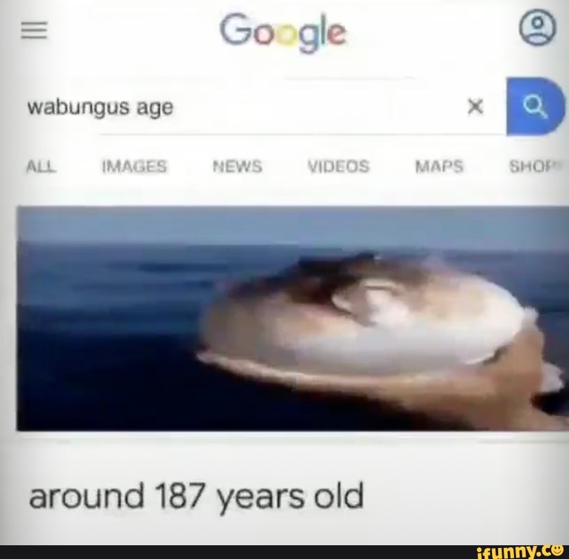 Wabungus memes. Best Collection of funny Wabungus pictures on iFunny