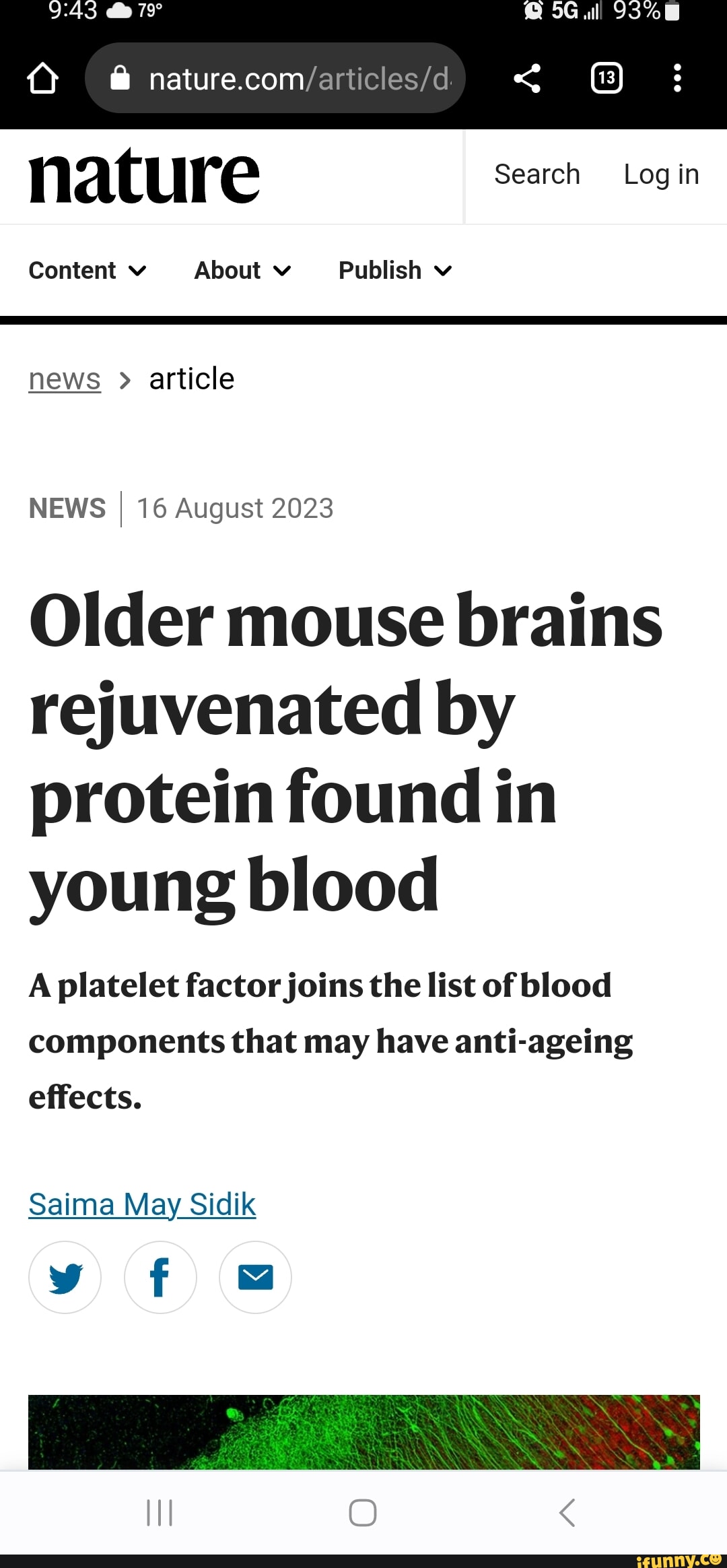 Platelet memes. Best Collection of funny Platelet pictures on iFunny