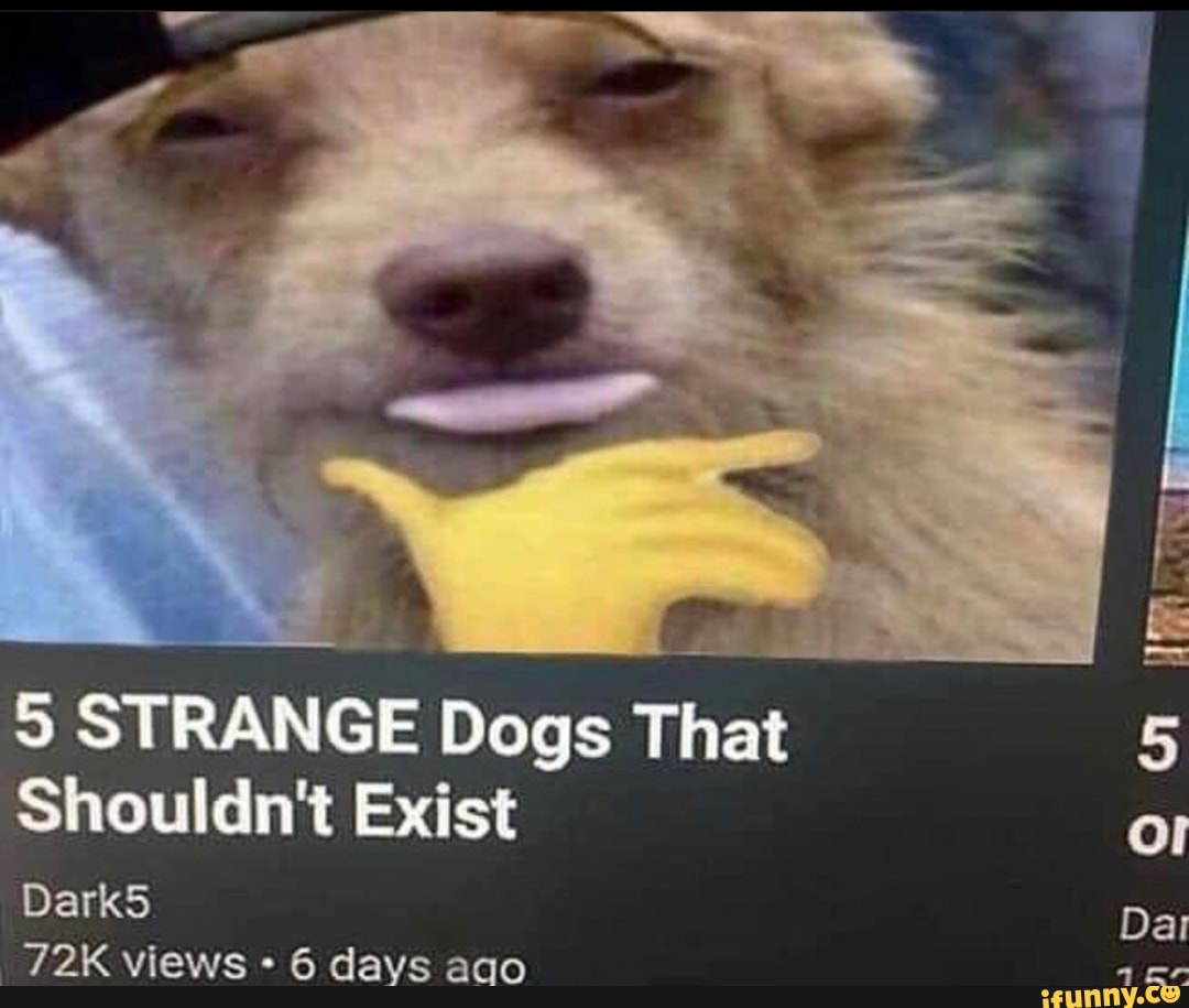 SS STRANGE Dogs That Shouldn't Exist Dark5 Dar views 6 days ago That ...