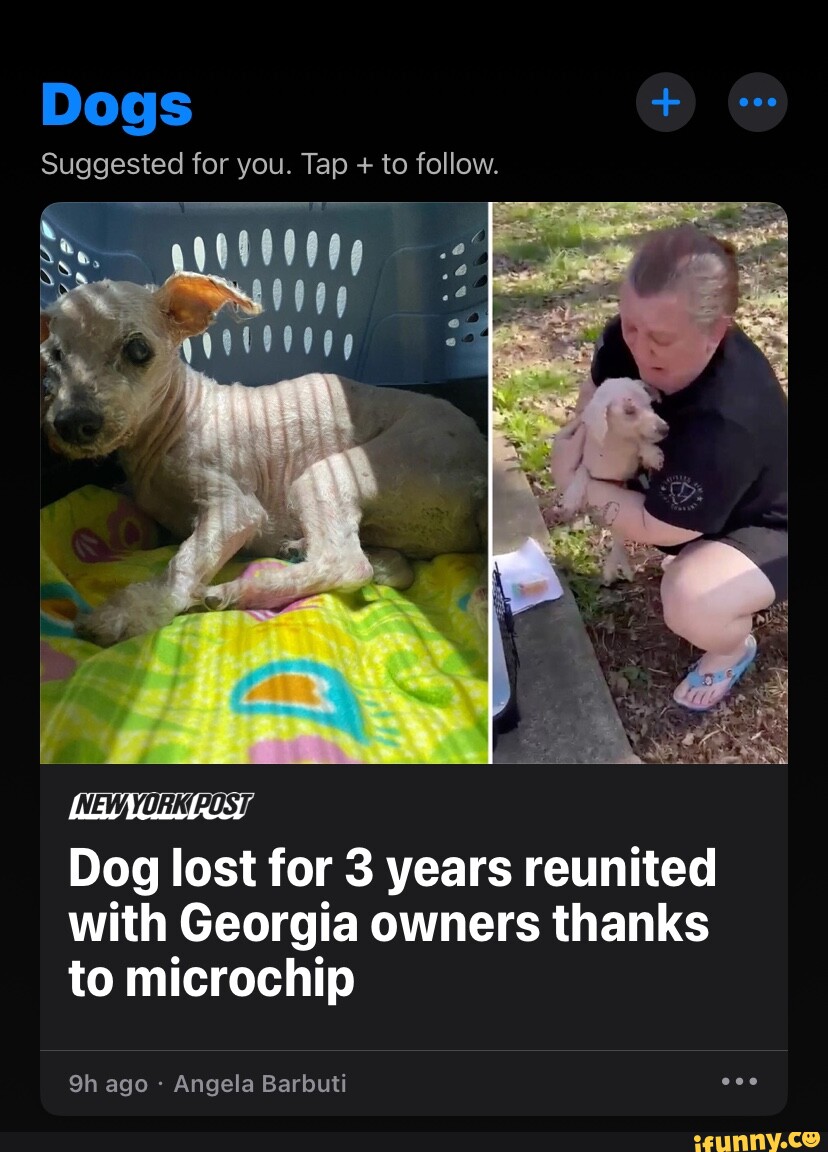 Microchip memes. Best Collection of funny Microchip pictures on iFunny