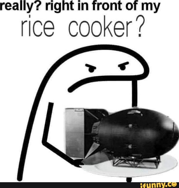 Really? right in front of my rice cooker ? - iFunny
