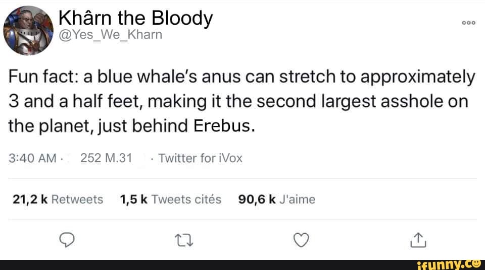 Kharn the Bloody @Yes We Kharn Fun fact: a blue whale's anus can ...
