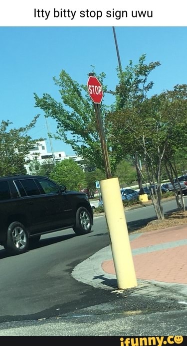 Itty bitty stop sign uwu - iFunny