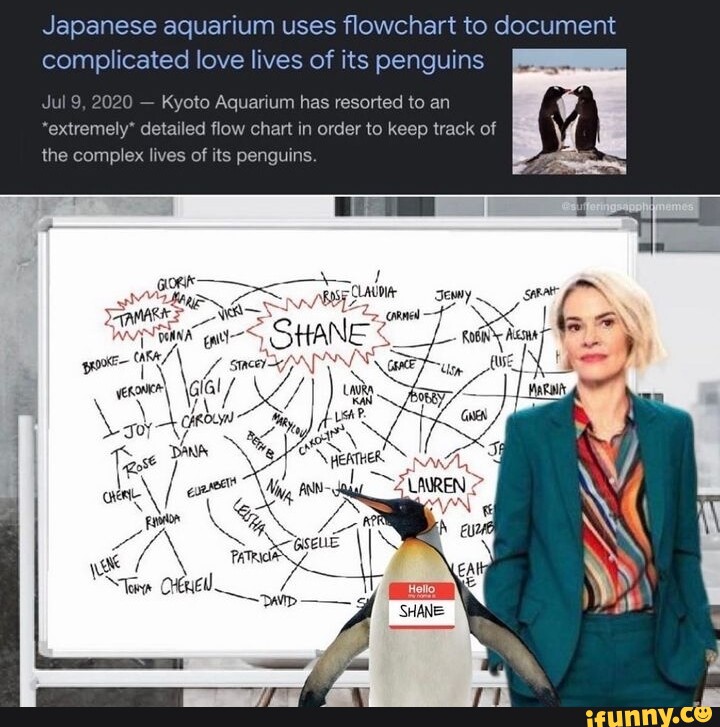 Flowchart memes. Best Collection of funny Flowchart pictures on iFunny