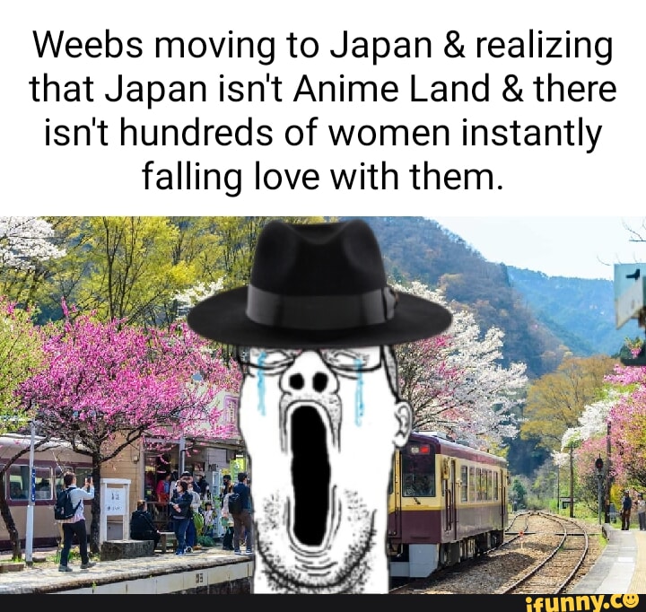 Weeaboos memes. Best Collection of funny Weeaboos pictures on iFunny