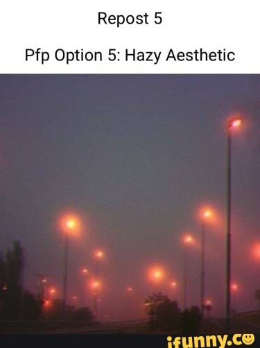 Repost Pfp Option 5: Hazy Aesthetic - iFunny
