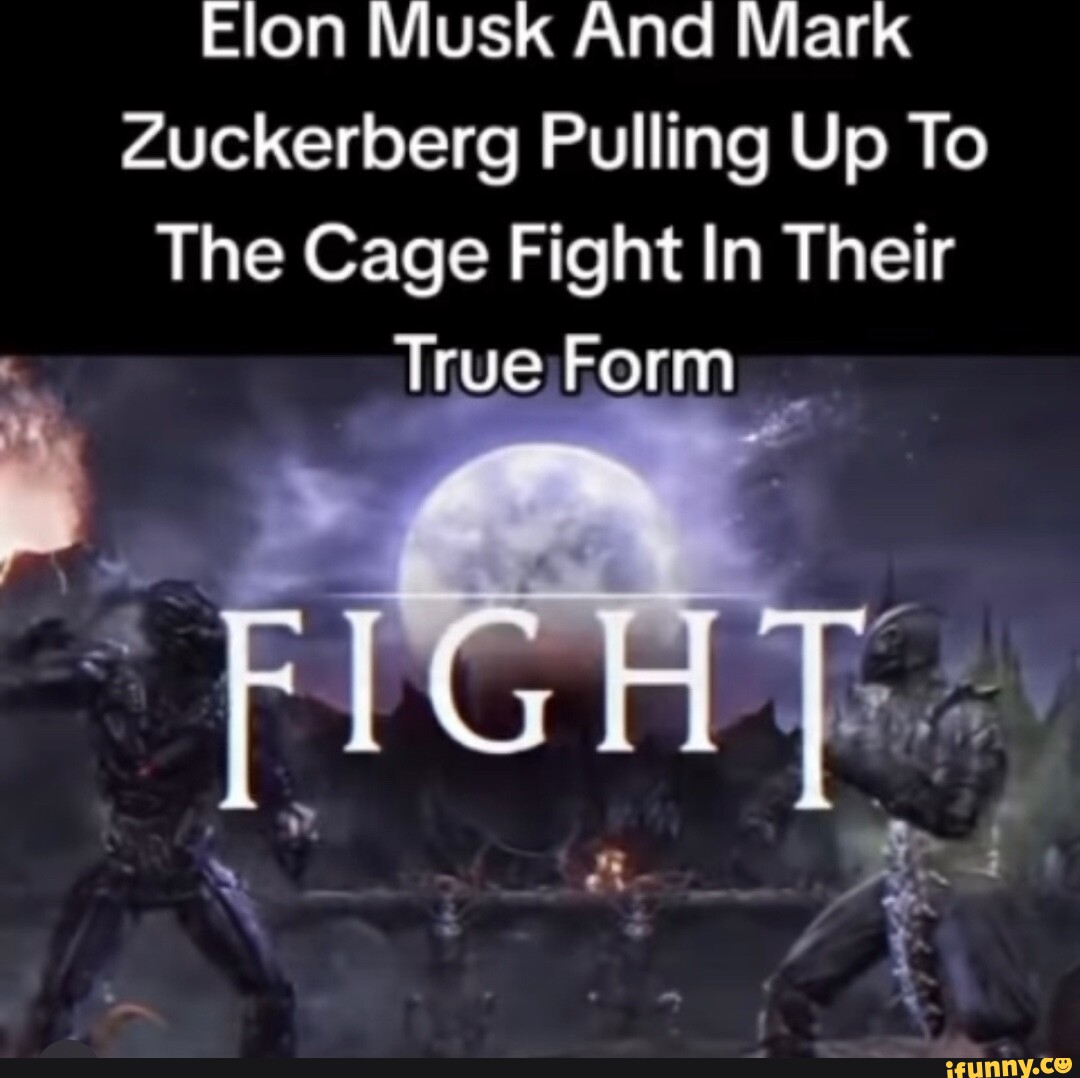 Elon Musk And Mark Zuckerberg Pulling Up To The Cage Fight In Their ...