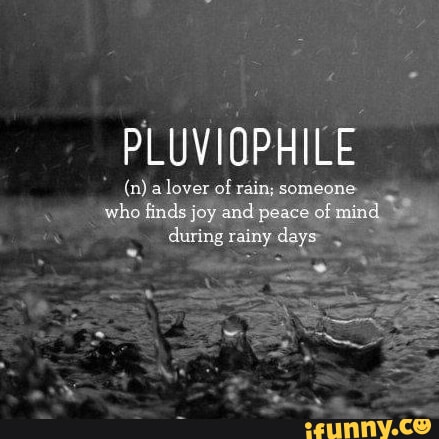 Pluviophile memes. Best Collection of funny Pluviophile pictures on iFunny