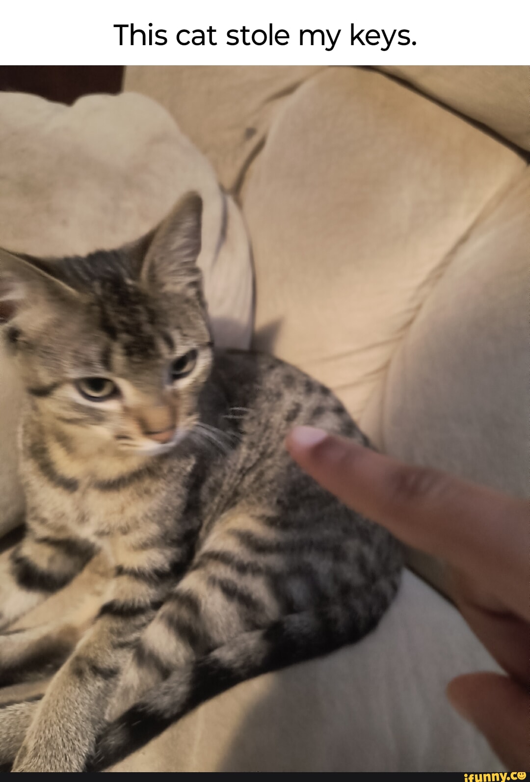 Keys memes. Best Collection of funny Keys pictures on iFunny