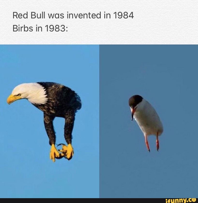 Red Bull was invented in 1984 Birbs in 1983: - iFunny