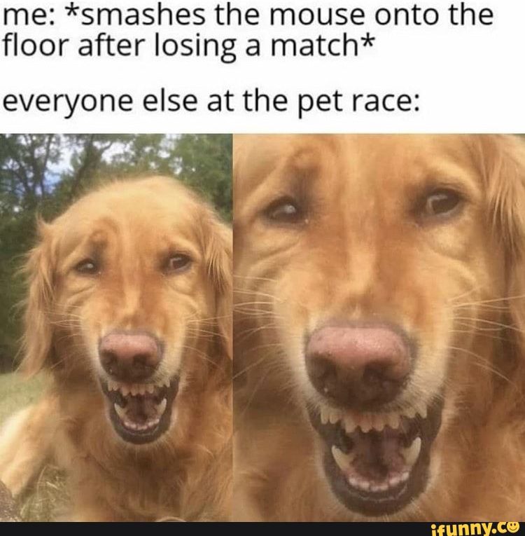 Me: *smashes the mouse onto the floor after losing a match* everyone ...