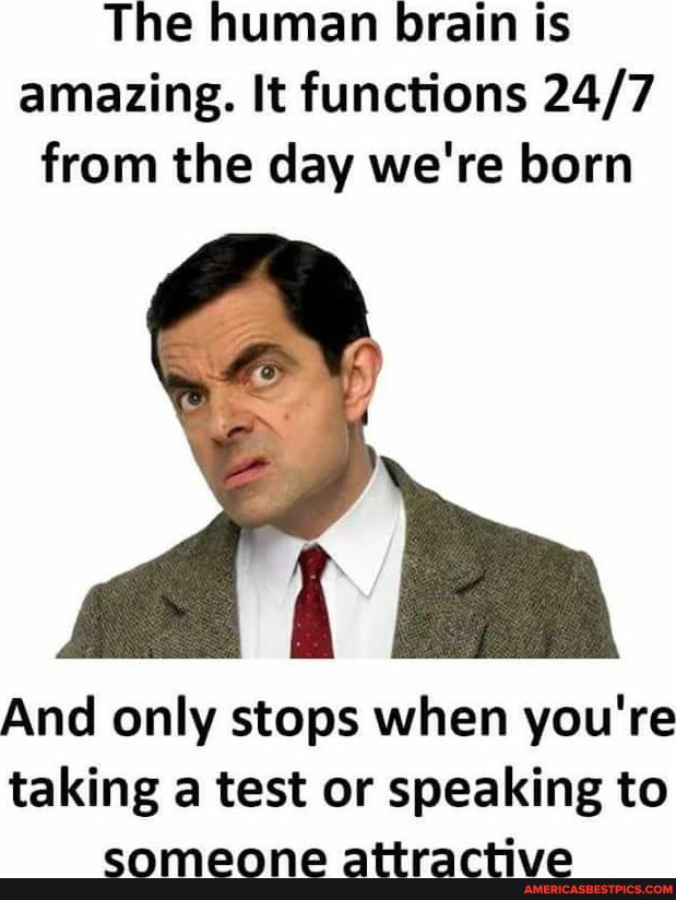 The human brain is amazing. It functions from the day we're born And ...