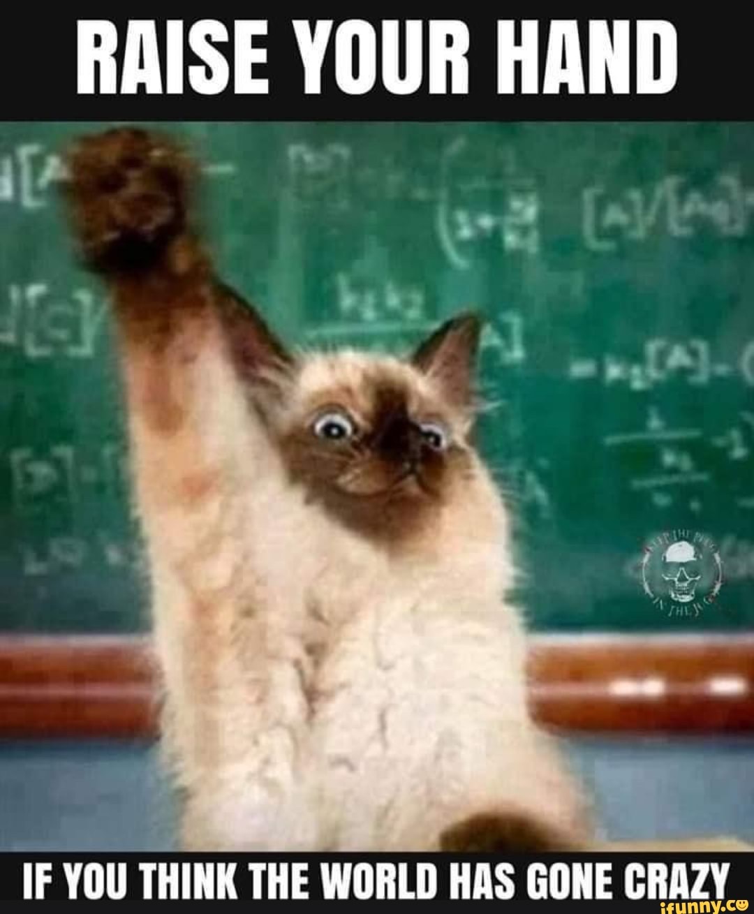 RAISE YOUR HAND IF YOU THINK THE WORLD HAS GONE CRAZY - iFunny