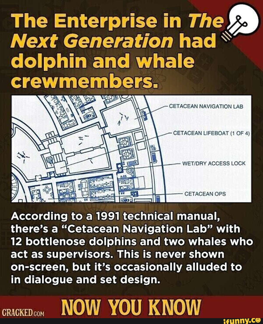 Navigation memes. Best Collection of funny Navigation pictures on iFunny