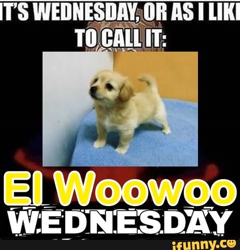 Woowoo memes. Best Collection of funny Woowoo pictures on iFunny