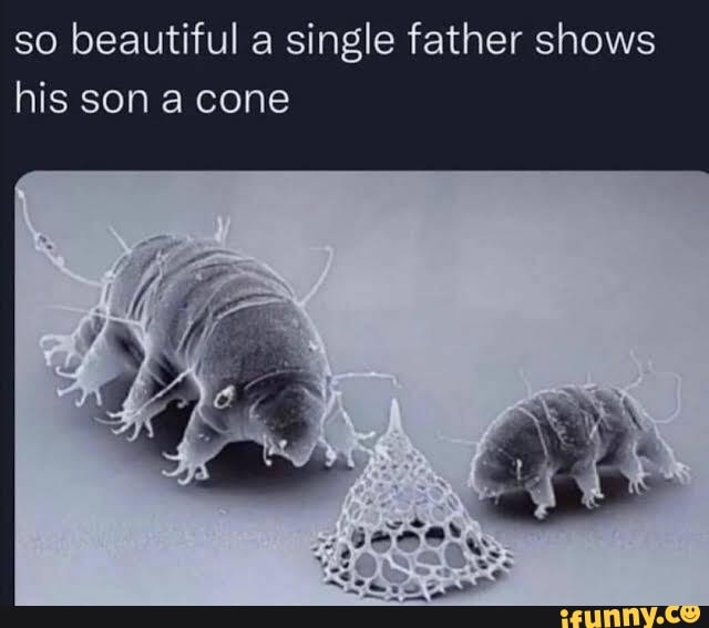 So beautiful a single father shows his son a cone - iFunny