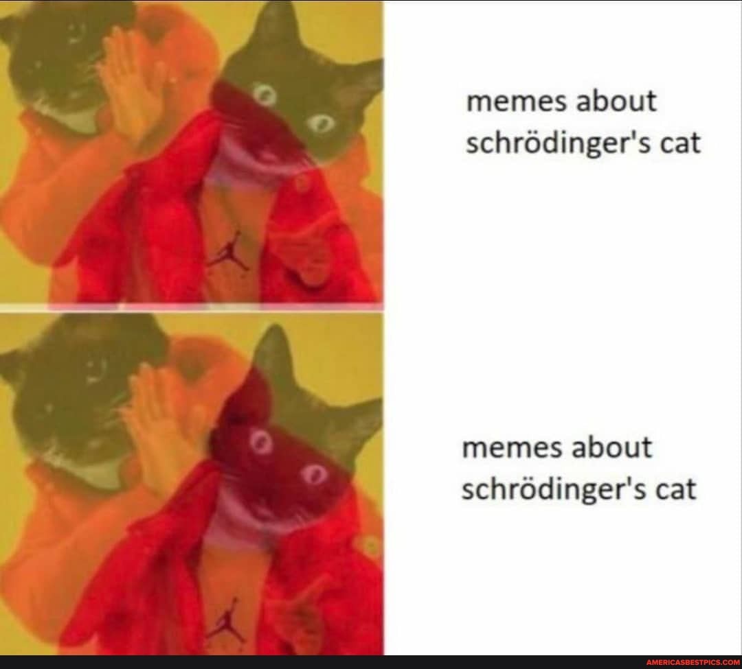 Memes about schrodinger's cat memes about schrodinger's cat - America’s ...