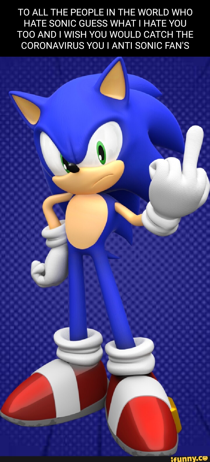 TO ALL THE PEOPLE IN THE WORLD WHO HATE SONIC GUESS WHAT I HATE YOU TOO ...