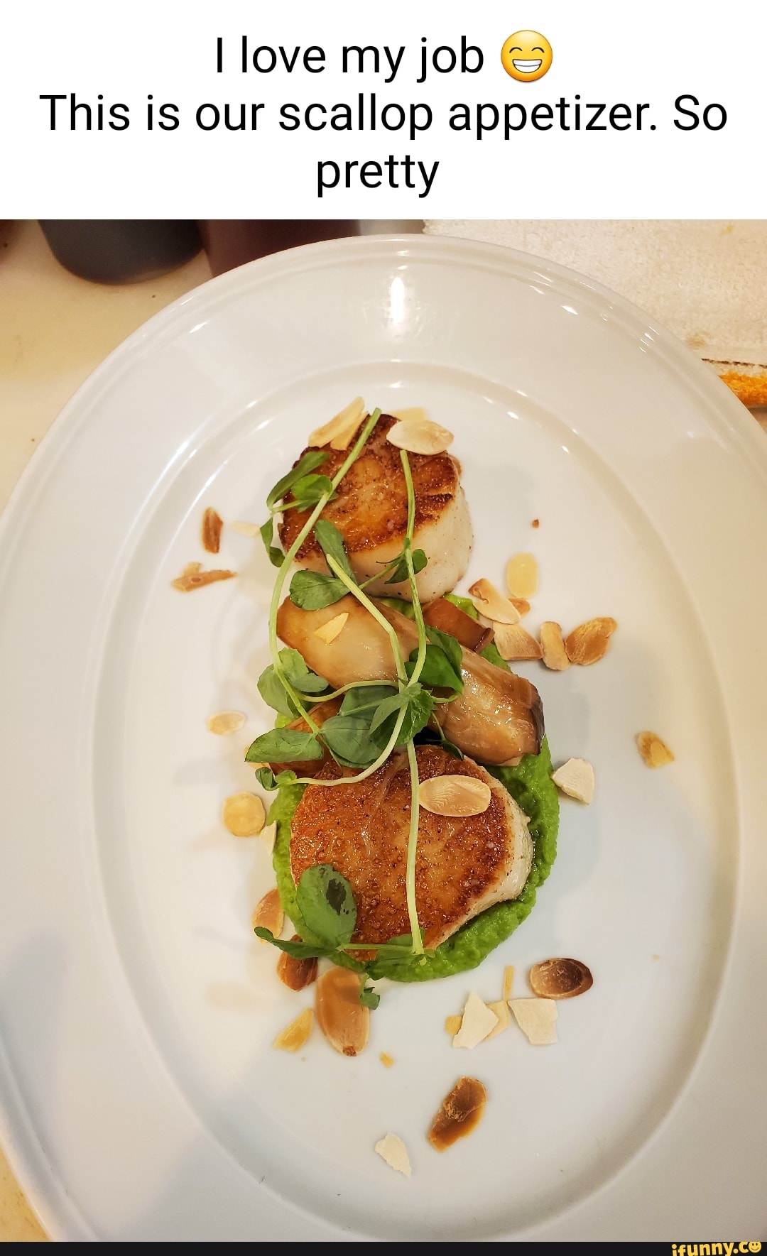 Appetizer memes. Best Collection of funny Appetizer pictures on iFunny