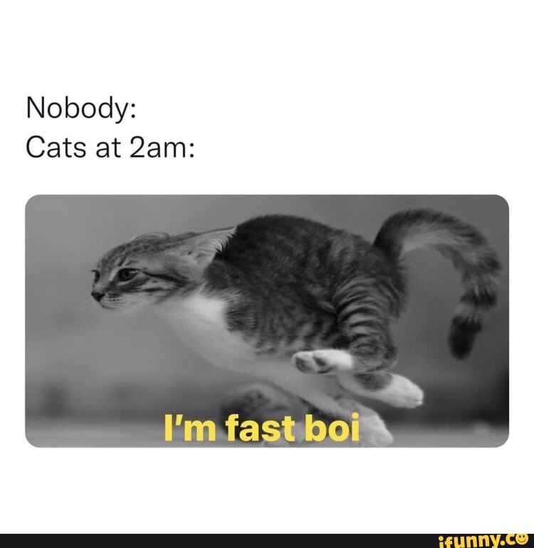 2am memes. Best Collection of funny 2am pictures on iFunny