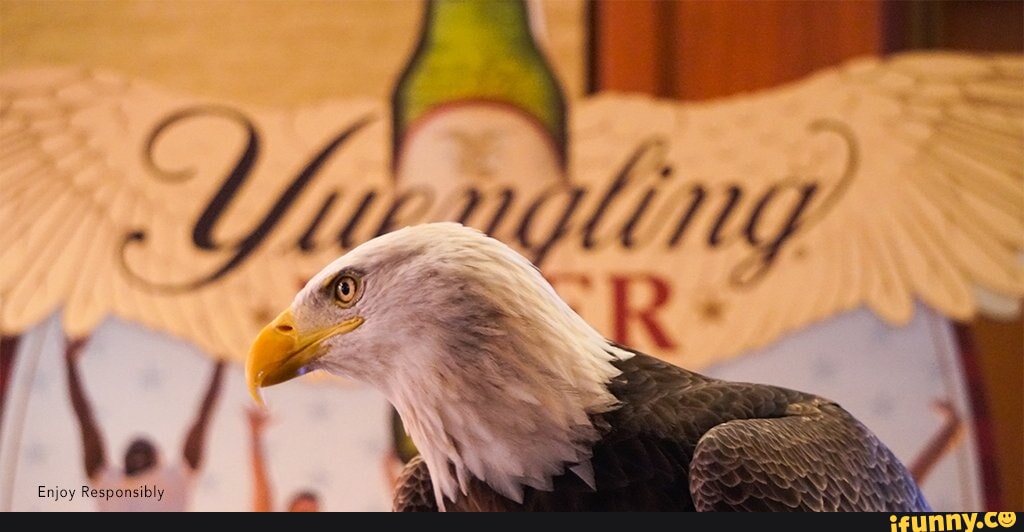 Enjoy Responsibly - iFunny