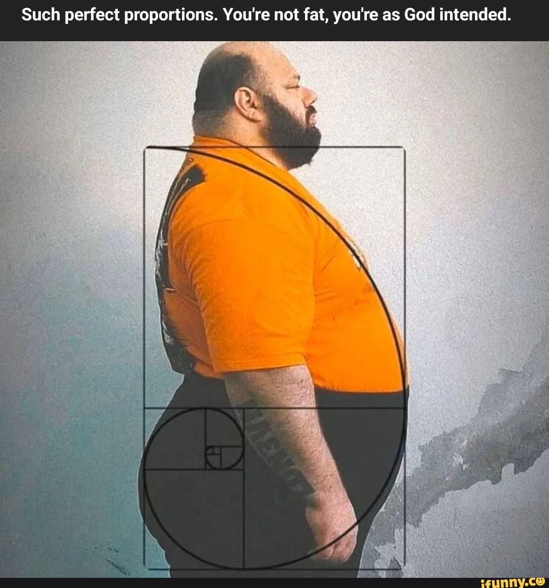 Such perfect proportions. You're not fat, you're as God intended. - iFunny