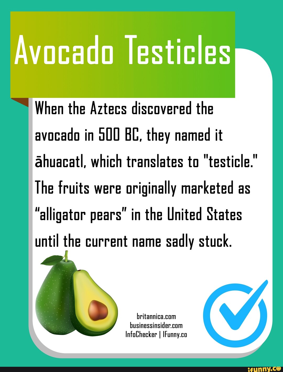 Avocado Testicles When the Aztecs discovered the avocado in BC, they ...