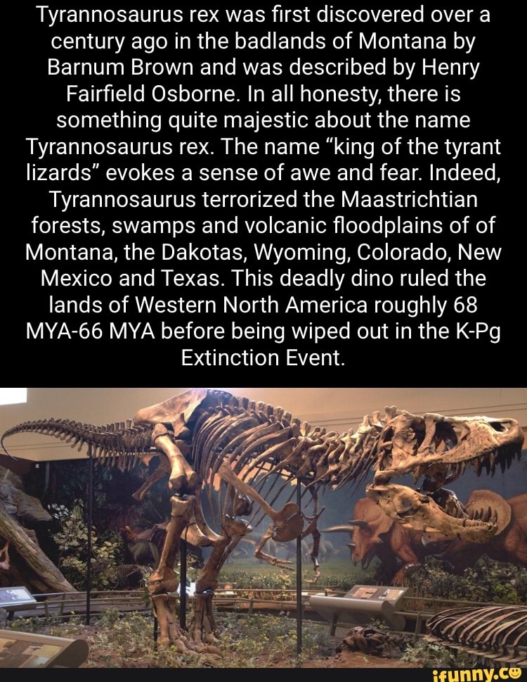 Tyrannosaurus rex was first discovered over a century ago in the ...