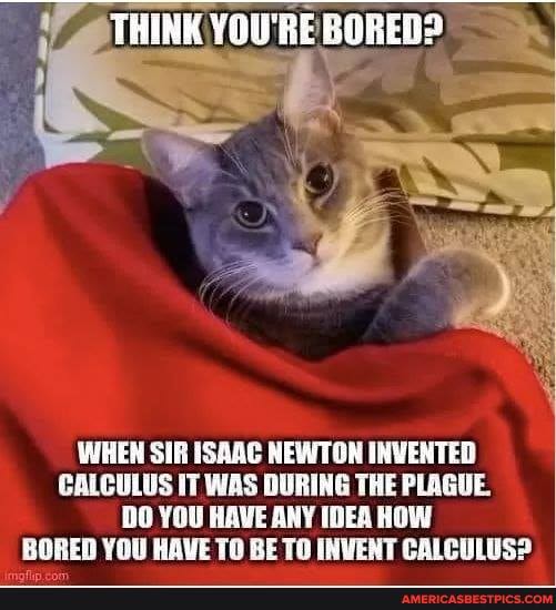 ~TJAMZ~ - THINK YOU'RE BORED? WHEN SIR ISAAC NEWTON INVENTED CALCULUS ...