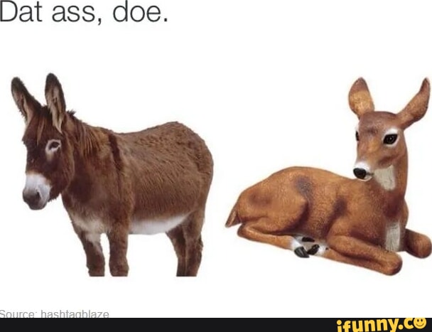 Vat memes. Best Collection of funny Vat pictures on iFunny