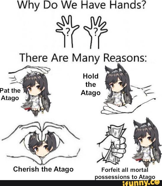 Why Do We Have Hands? There Are Many Reasons: Hold the Pat the Atago ...