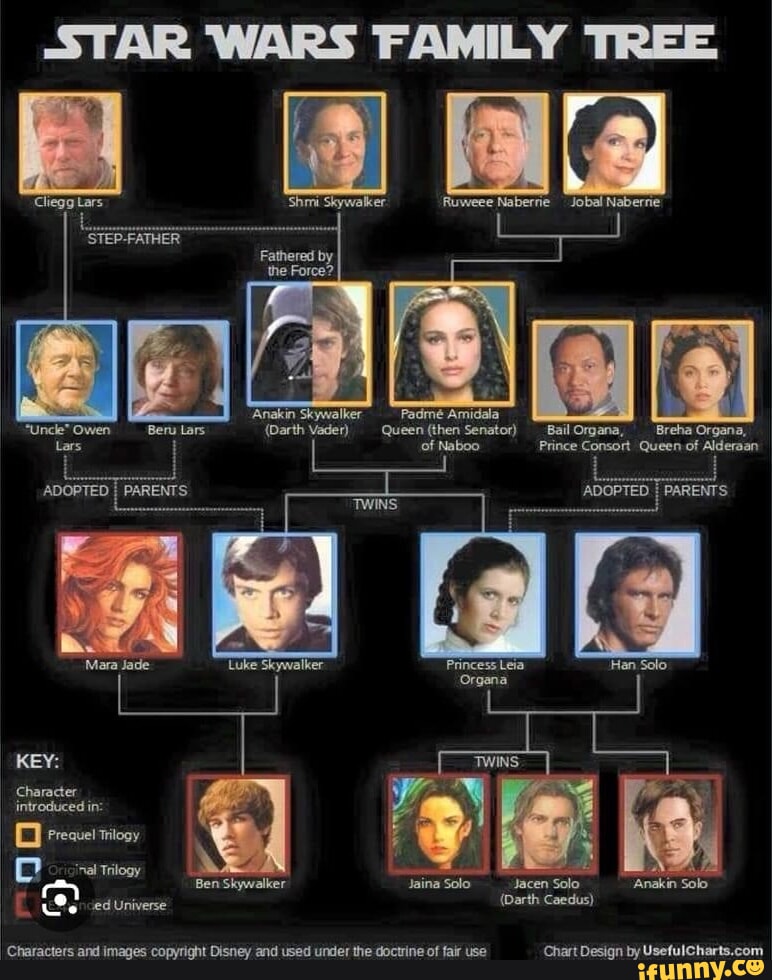STAR WARS FAMILY TREE I 'Anakin Skywalker Padme Amidala (Darth Vader) Queen (then Senator) Bail ...