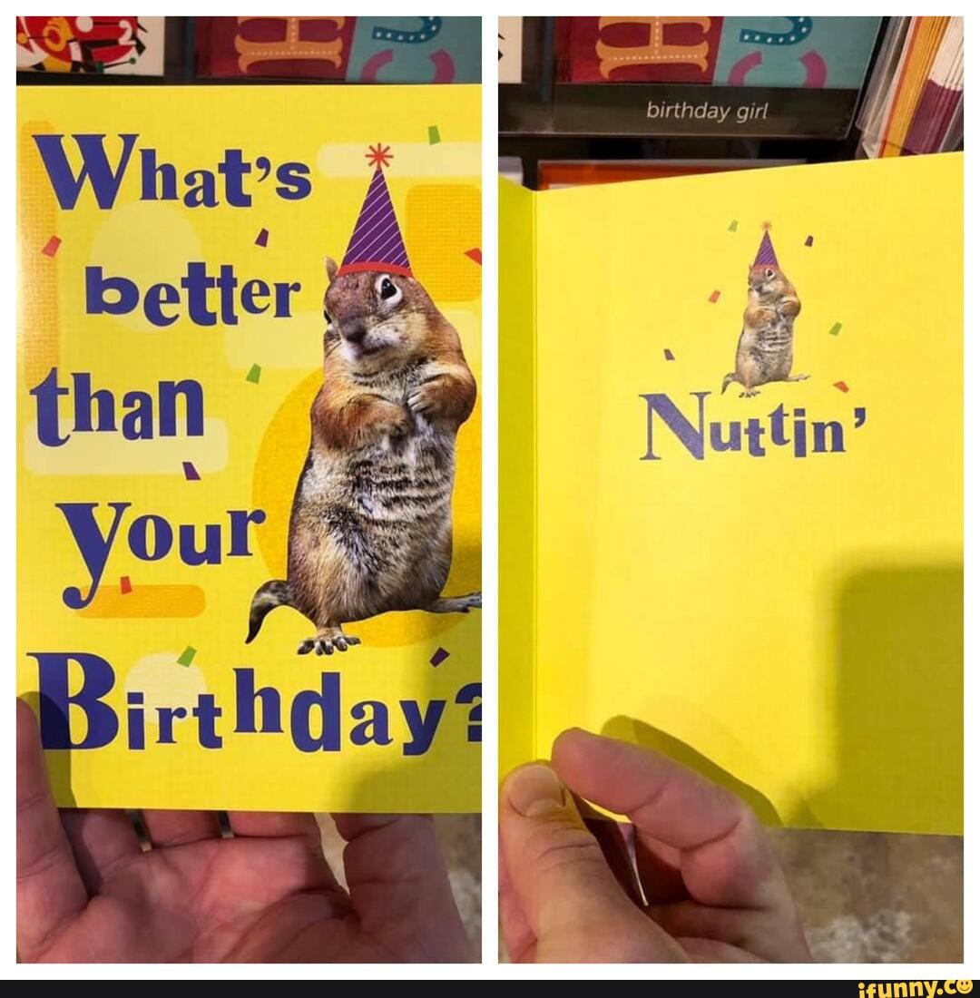 What's better than birthday girl Nuttin by Our irthda - iFunny
