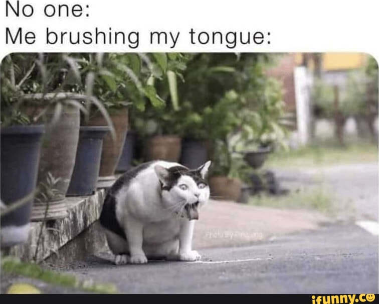 Brushing memes. Best Collection of funny Brushing pictures on iFunny