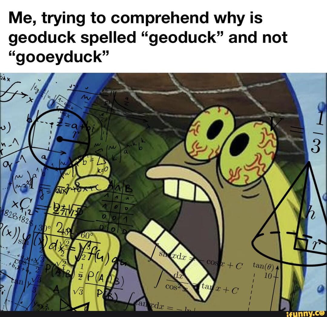 Geoduck memes. Best Collection of funny Geoduck pictures on iFunny