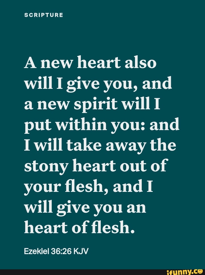 Stony memes. Best Collection of funny Stony pictures on iFunny