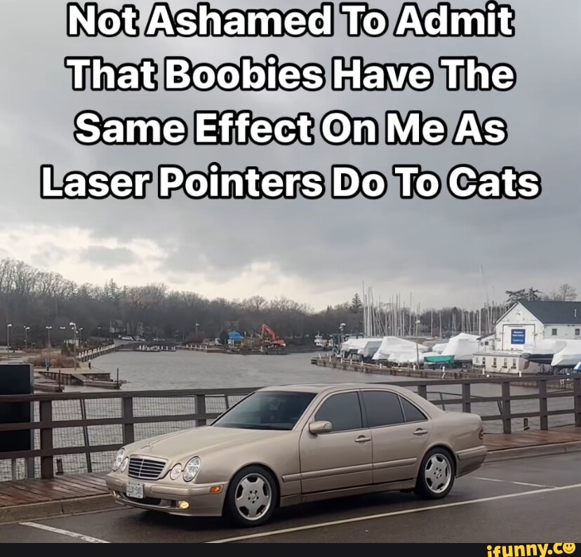 Pointers memes. Best Collection of funny Pointers pictures on iFunny