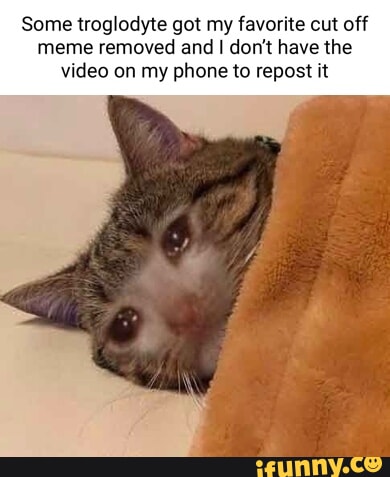 Some troglodyte got my favorite cut off meme removed and I don't have ...