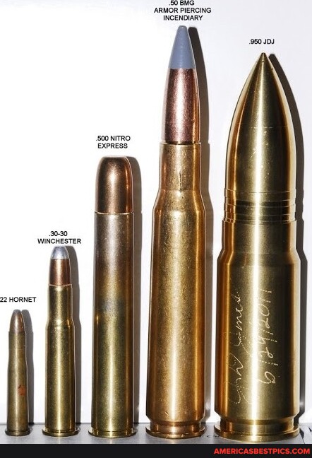 [ARMOR PIERCING INCENDIARY 22 HORNET - America’s best pics and videos