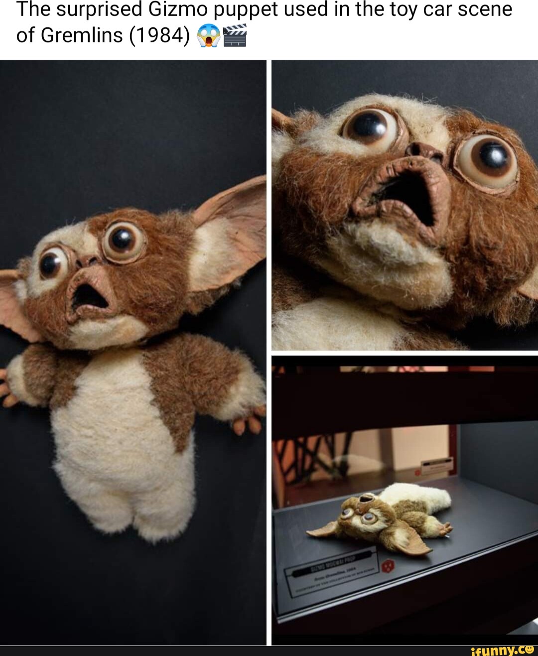 The surprised Gizmo puppet used in the toy car scene of Gremlins (1984 ...