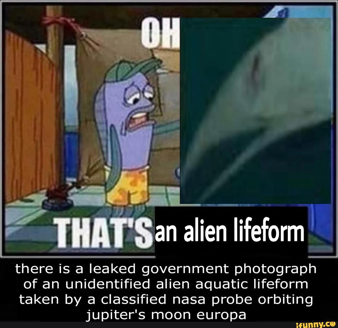 An alien lifeform there is a leaked government photograph of an ...