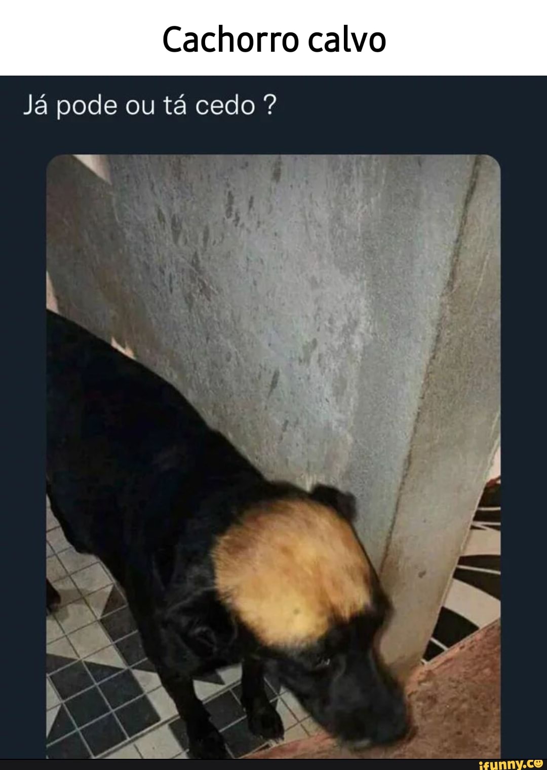 Memes de imagem dJuuf0yw9 por Sachtt - )